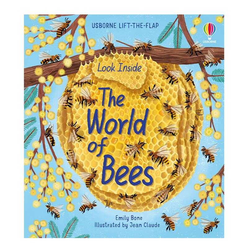 Usborne - Look Inside The World Of Bees | Educational & Creative Toy ...